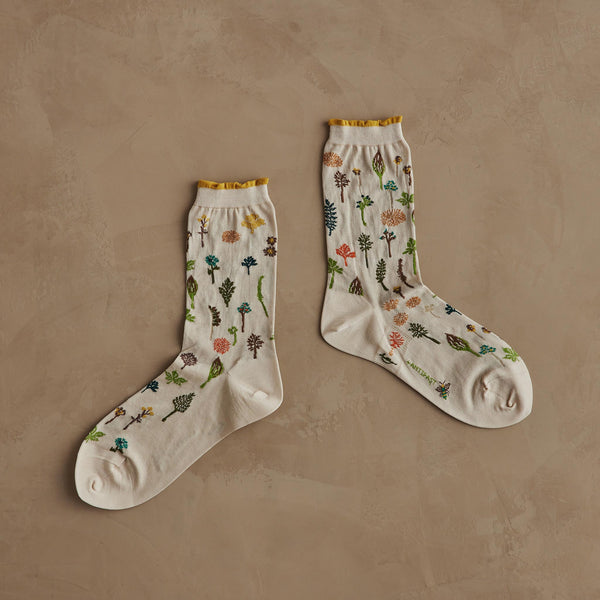 Coral & Tusk × Antipast Garden Ivory Socks