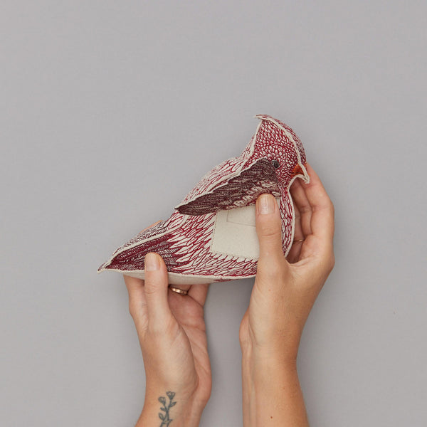 Cardinal of Hope | Coral & Tusk